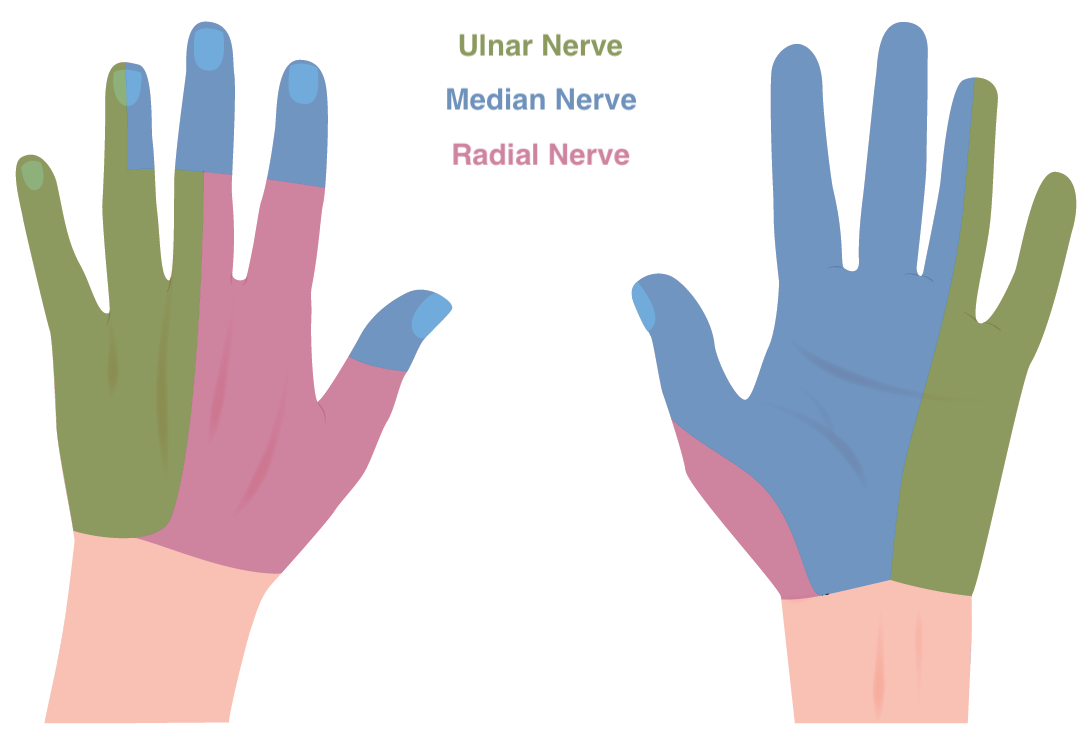 Hand numbness | Dallas Hand Surgeon Dr. AzouzAzouz Hand Surgery